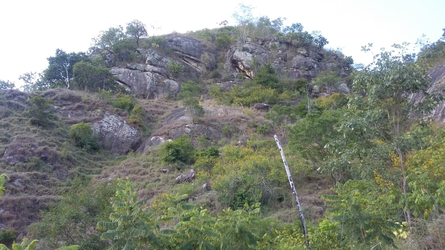 Quarry – acmestone.com